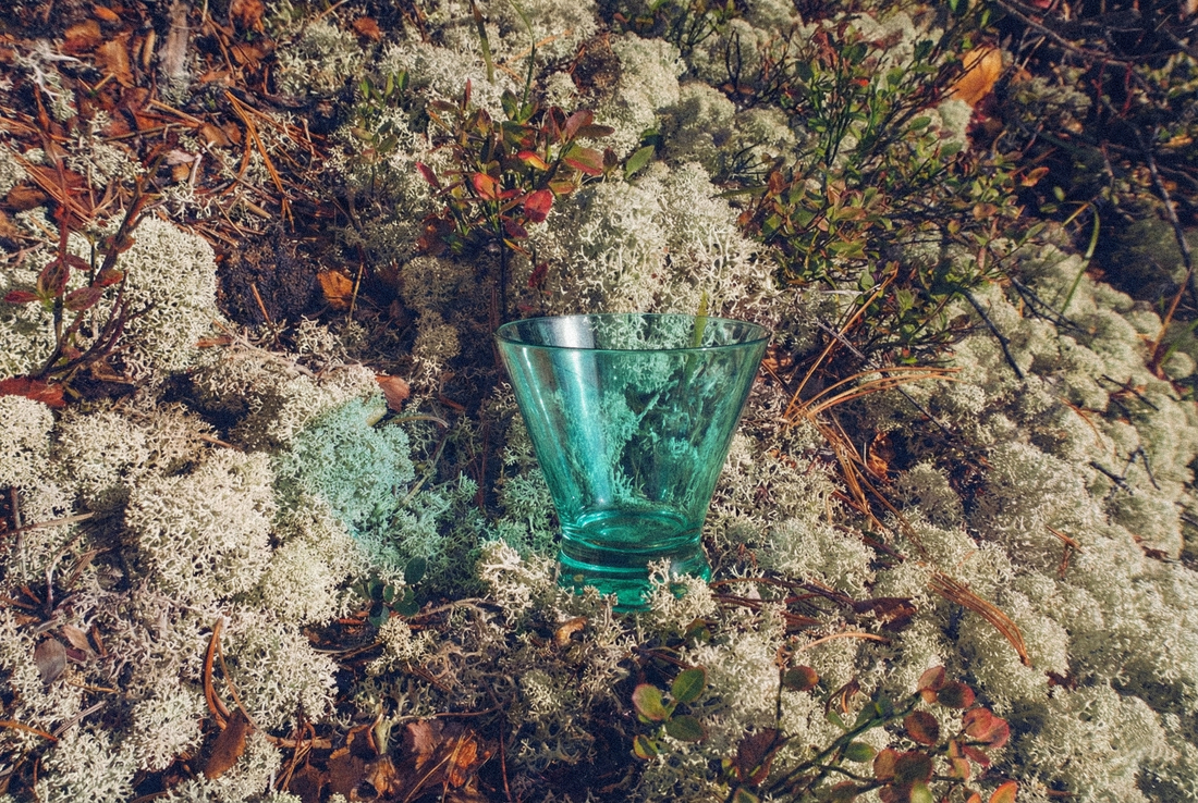 Hold My Poles: Nordic Walking Taught Me to Love Myself, One Step at a ...